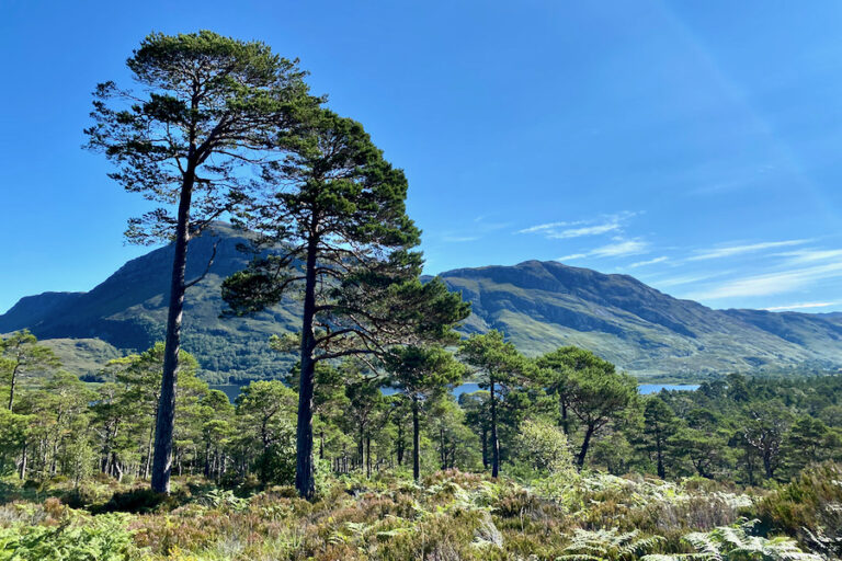 Beinn Eighe Mountain Trail: Britain's Only Way-Marked Hike - Grow ...