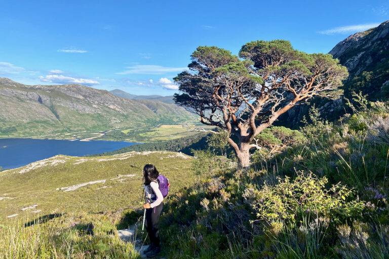 Beinn Eighe Mountain Trail: Britain's Only Way-Marked Hike - Grow ...